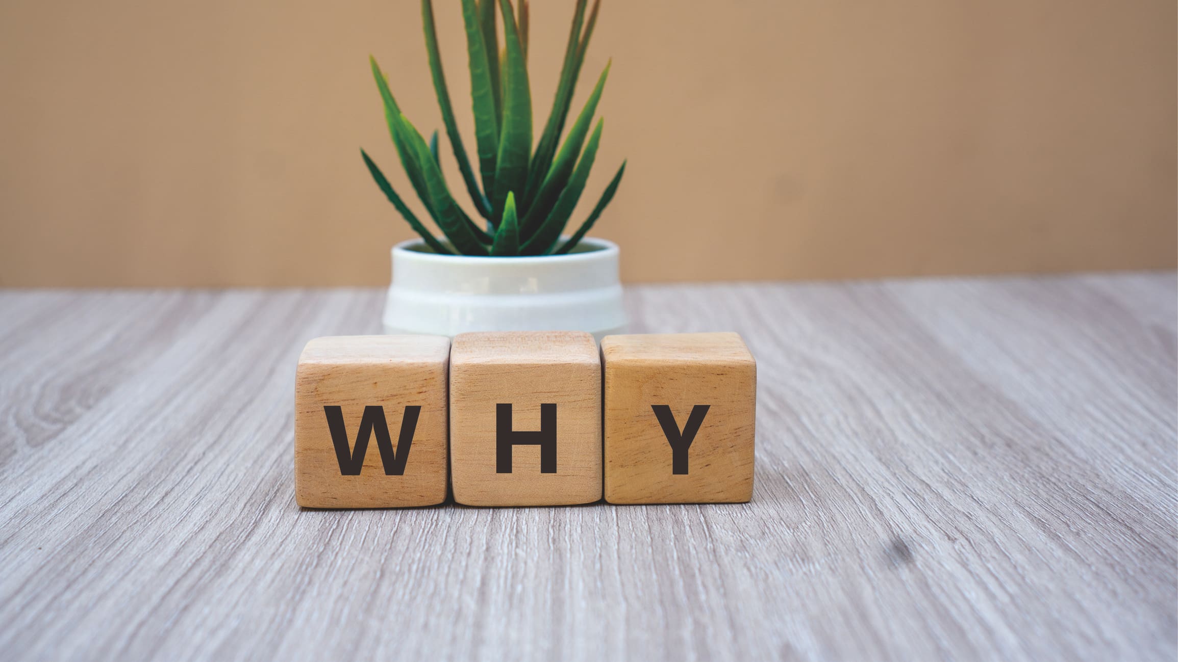 Rediscovering Your Why: Reigniting Passion for Your Ministry’s Purpose ...